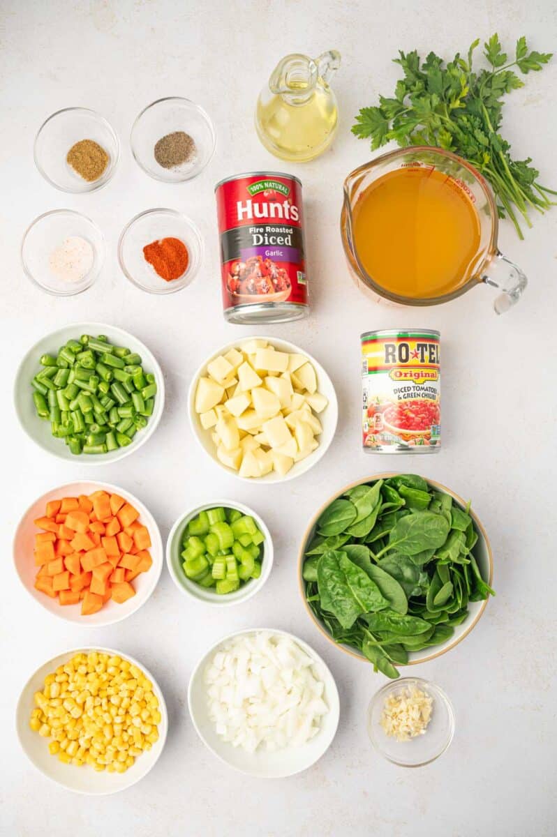 Easy Spicy Vegetable Soup with Fire Roasted Tomatoes - Food Exit Recipes